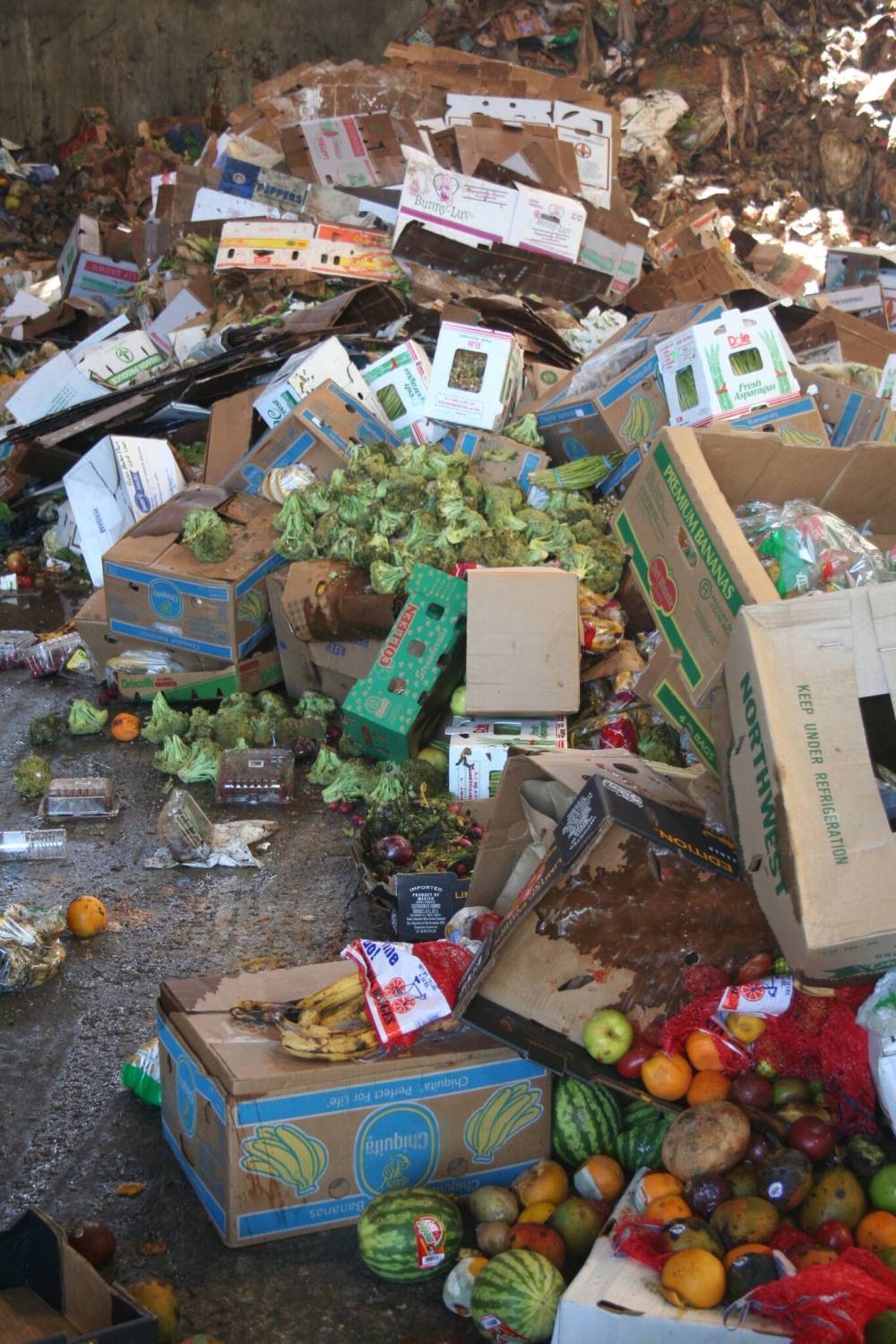 4 strategies to reduce household food waste – Brandon Sun
