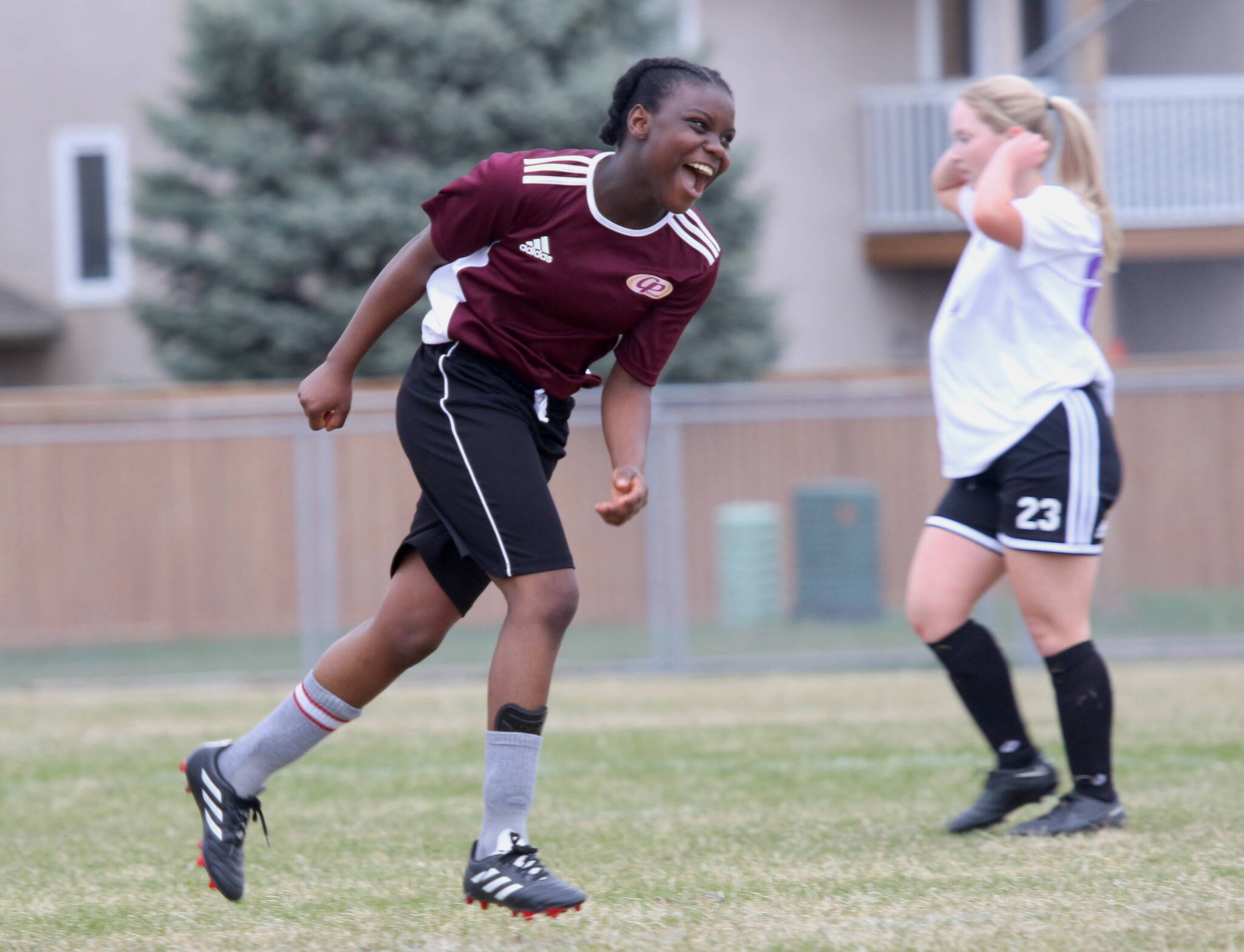 Crocus Plainsmen fight back to drop Vincent Massey Vikings – Brandon Sun