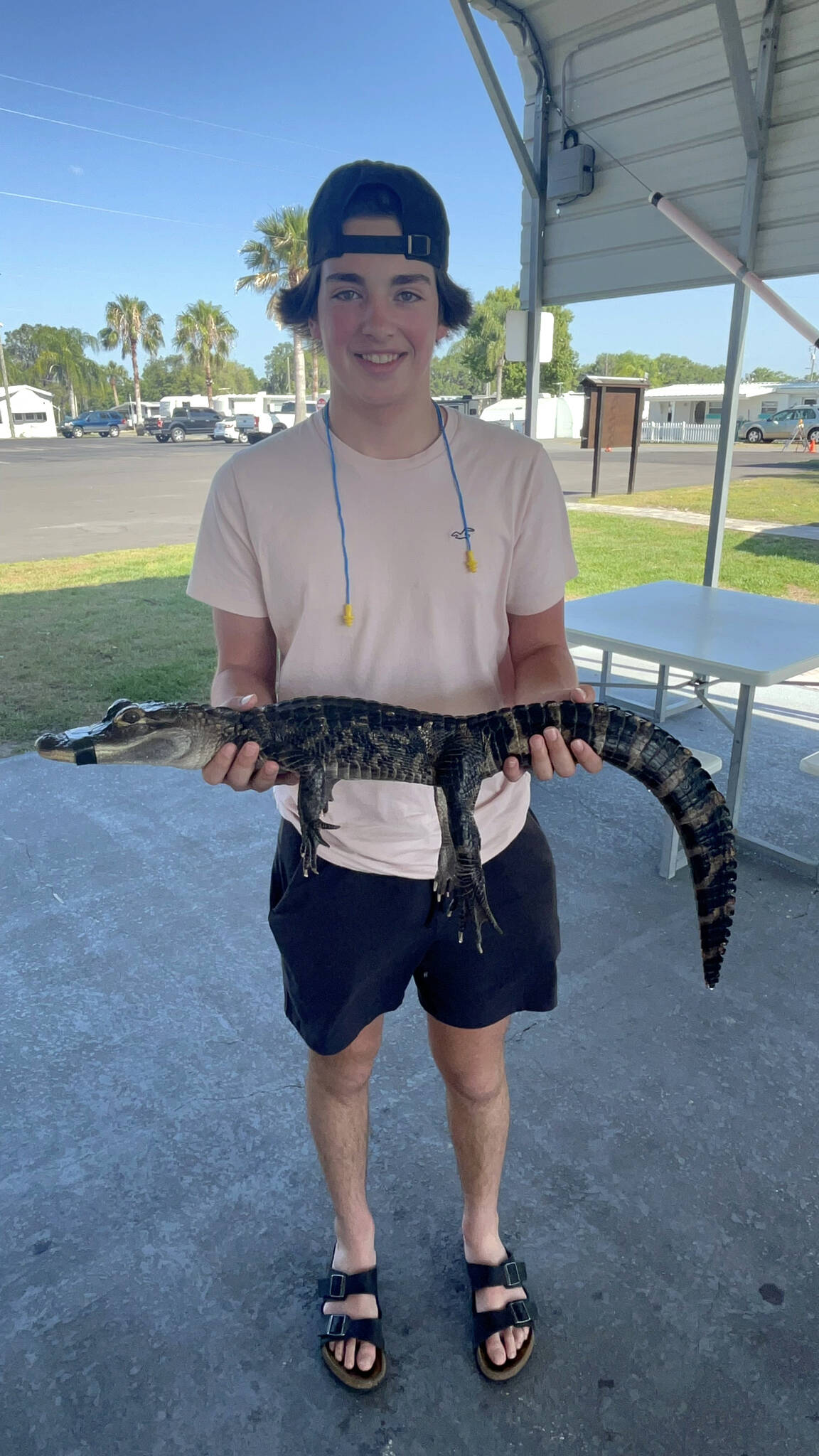 Letourneau shares draft day with gators – Brandon Sun