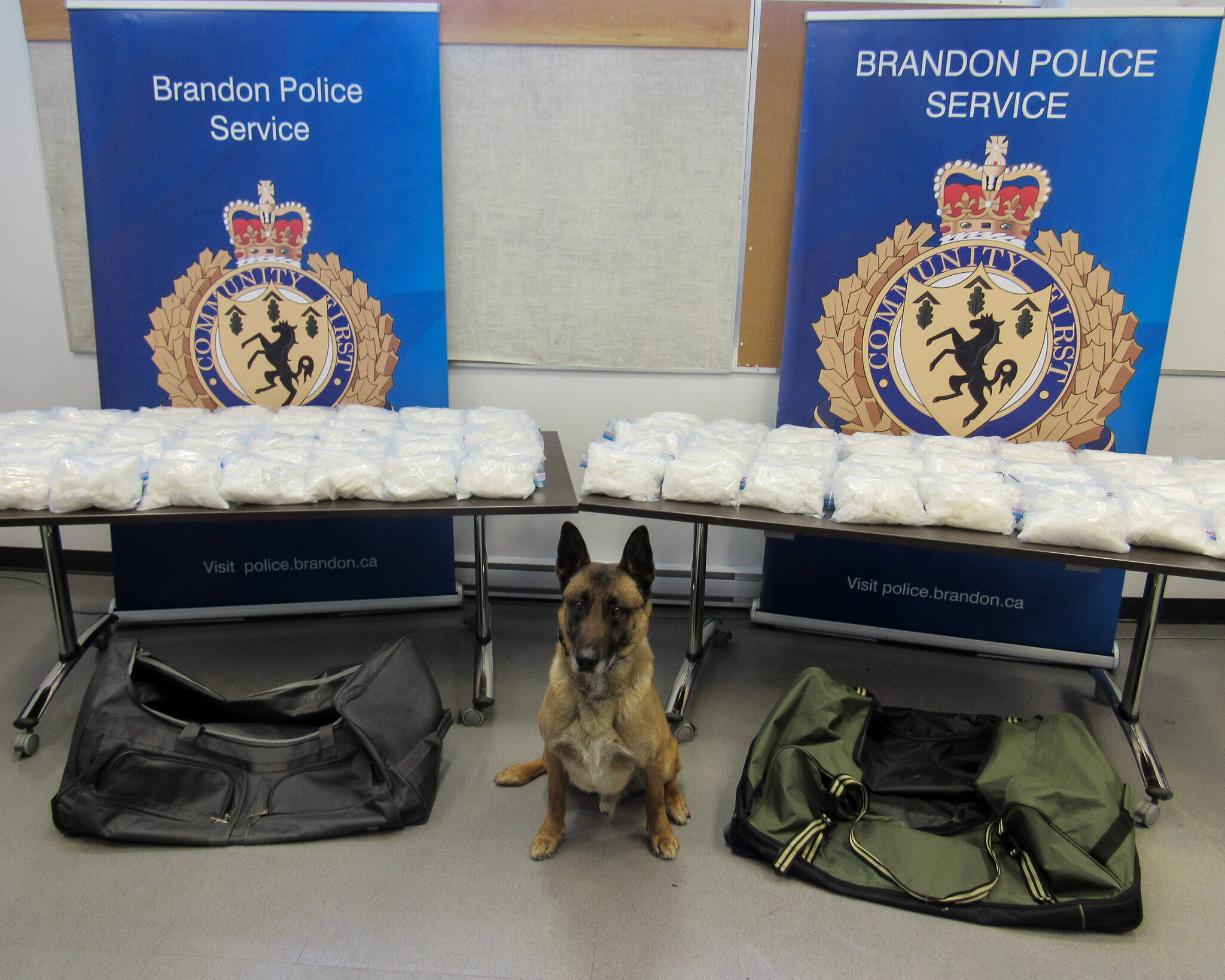 Brandon police seize $800K of crystal meth – Brandon Sun