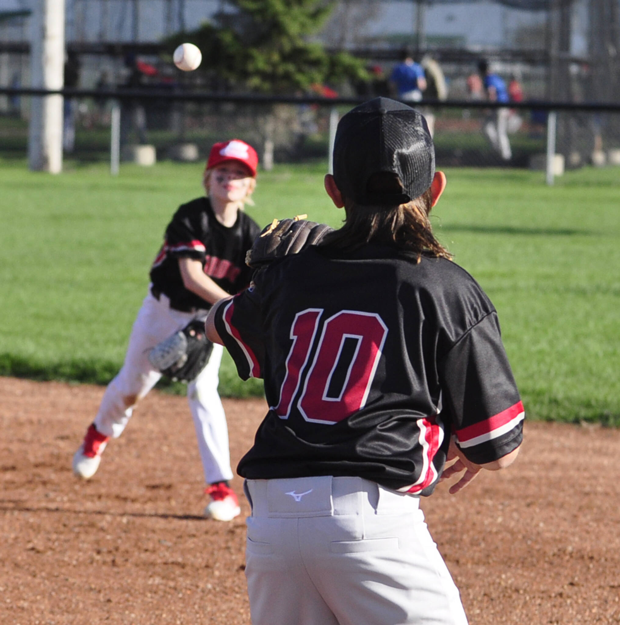 Busy Simplot Millenium Park – Brandon Sun