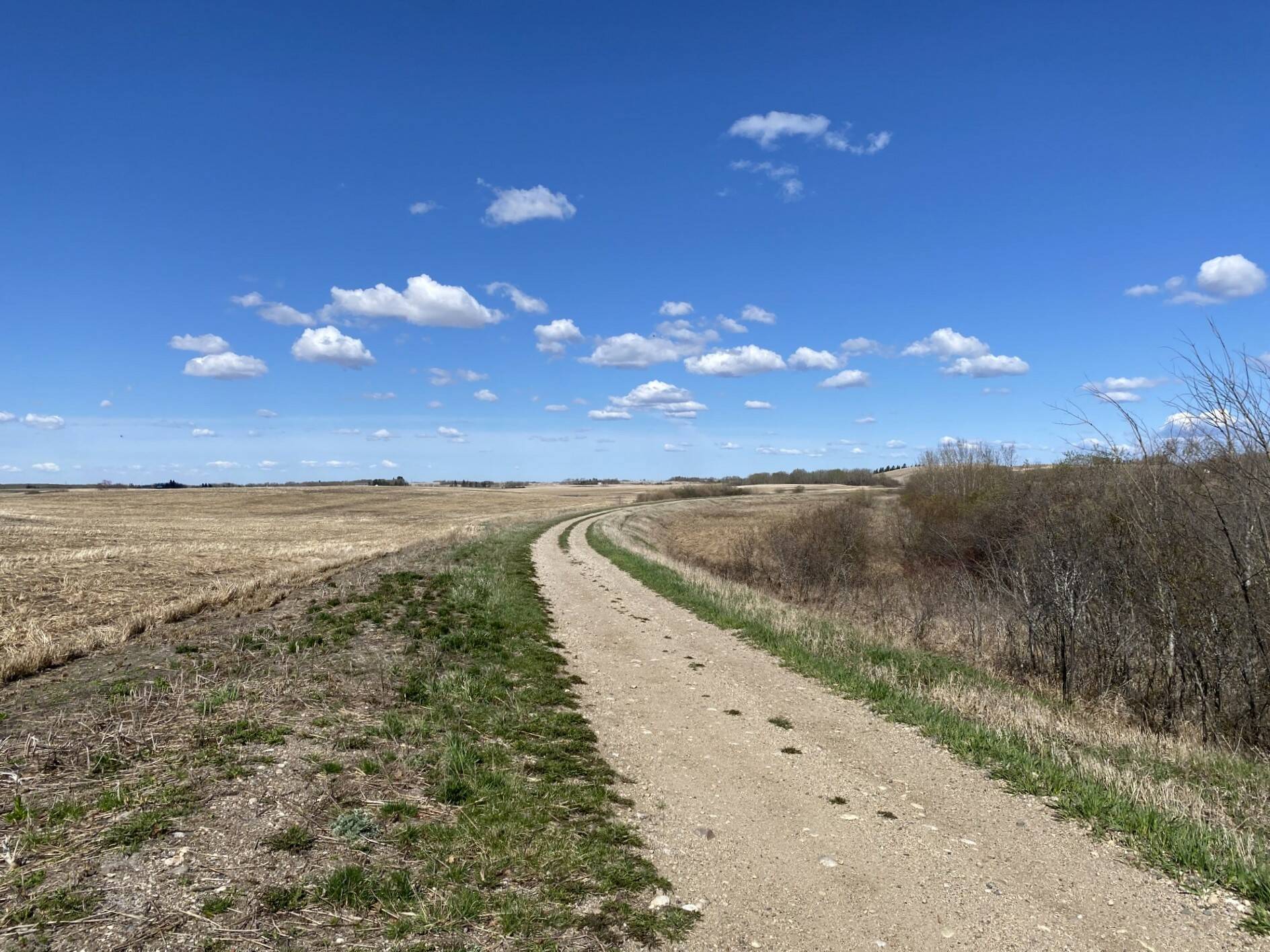 Erickson unveiling celebrates Trails Day – Brandon Sun