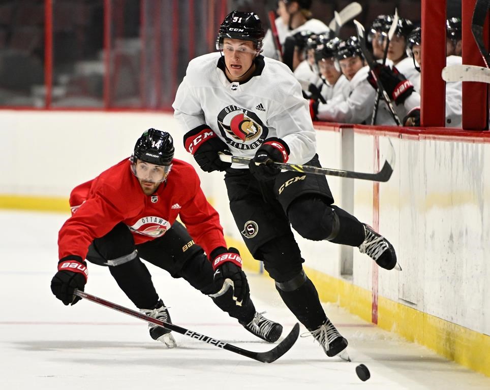 Senators sign forward Cole Reinhardt to one-year, two-way contract ...