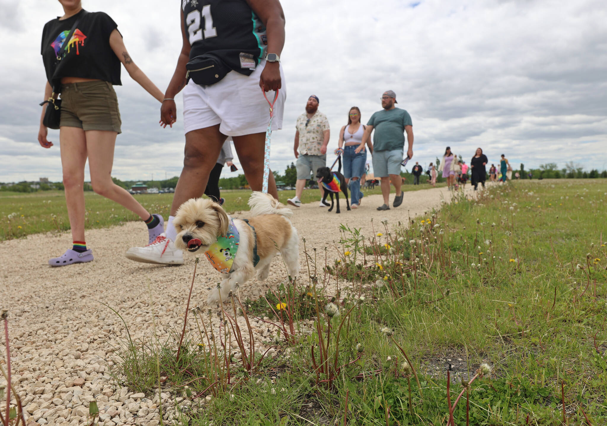 Brandon Pride Week festivities underway – Brandon Sun