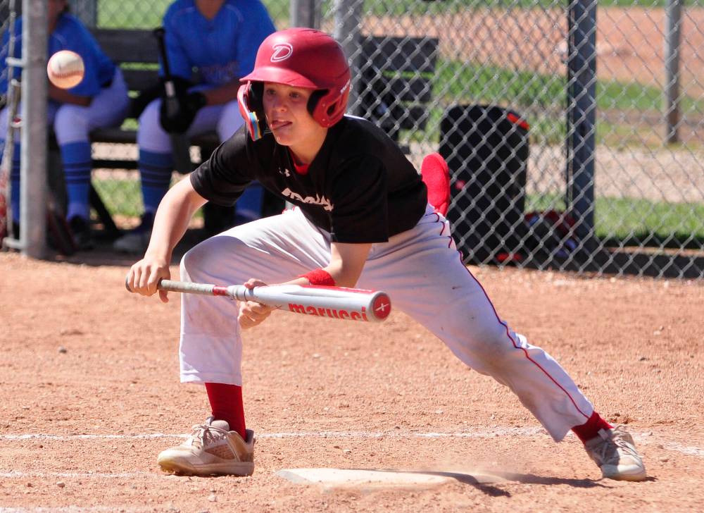 All-Alberta 13U final: Dawgs take bite out of opponents – Brandon Sun