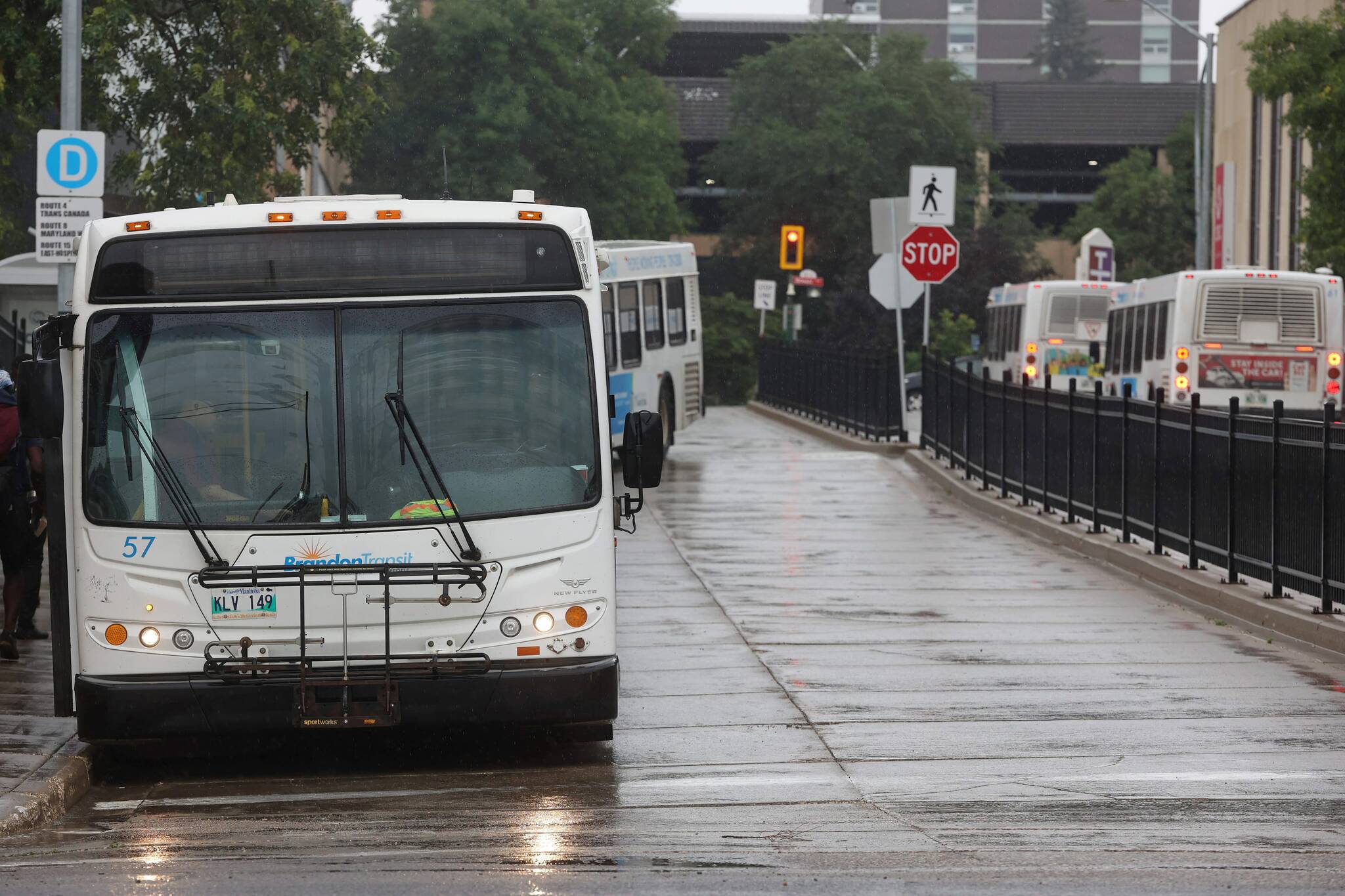 Transit bus makeovers tendered – Brandon Sun