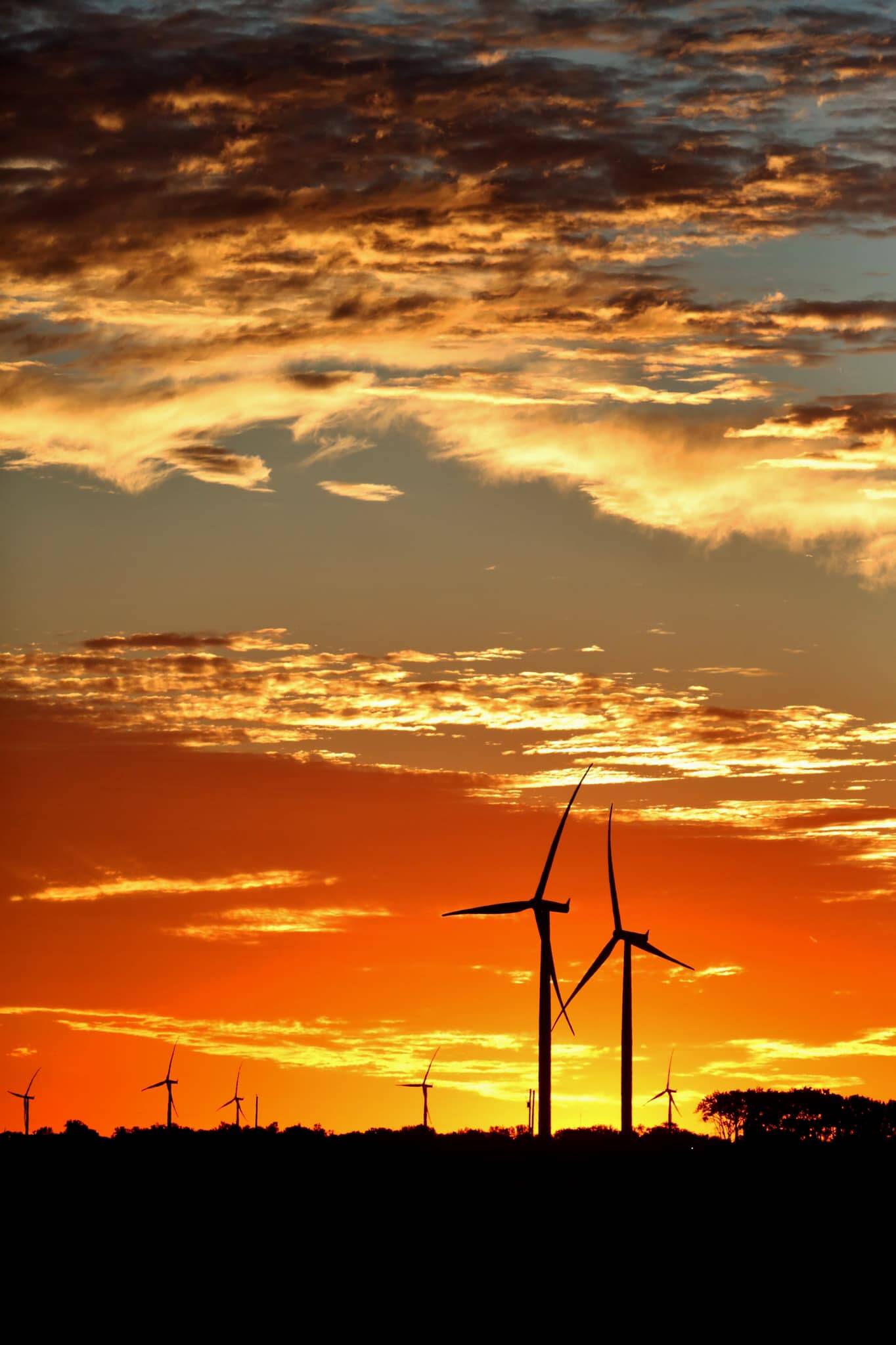 Mixed reactions to premier’s wind power plan – Brandon Sun