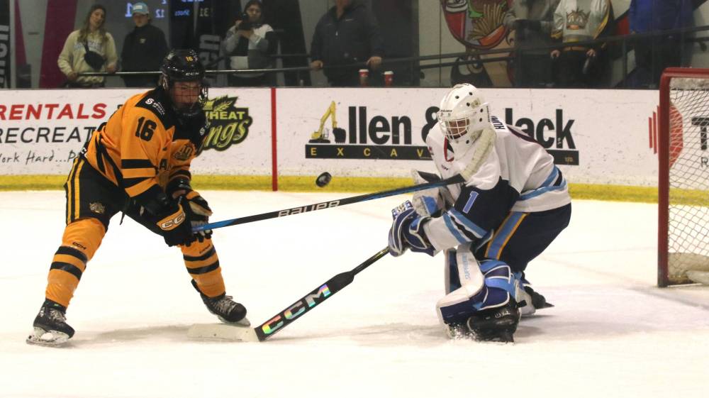 U18 AAA WEEKLY ROUNDUP: Wheat Kings, Cougars sweep weekend outings ...