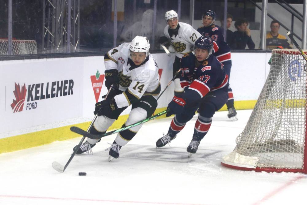 Let’s Do Something — Nov. 14, 2024 – Brandon Sun