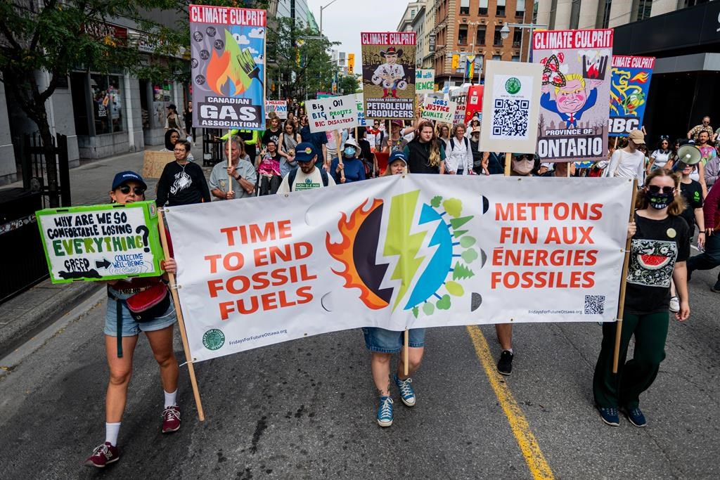Ontario asks Canada’s highest court to hear youth-led climate case – Brandon Sun