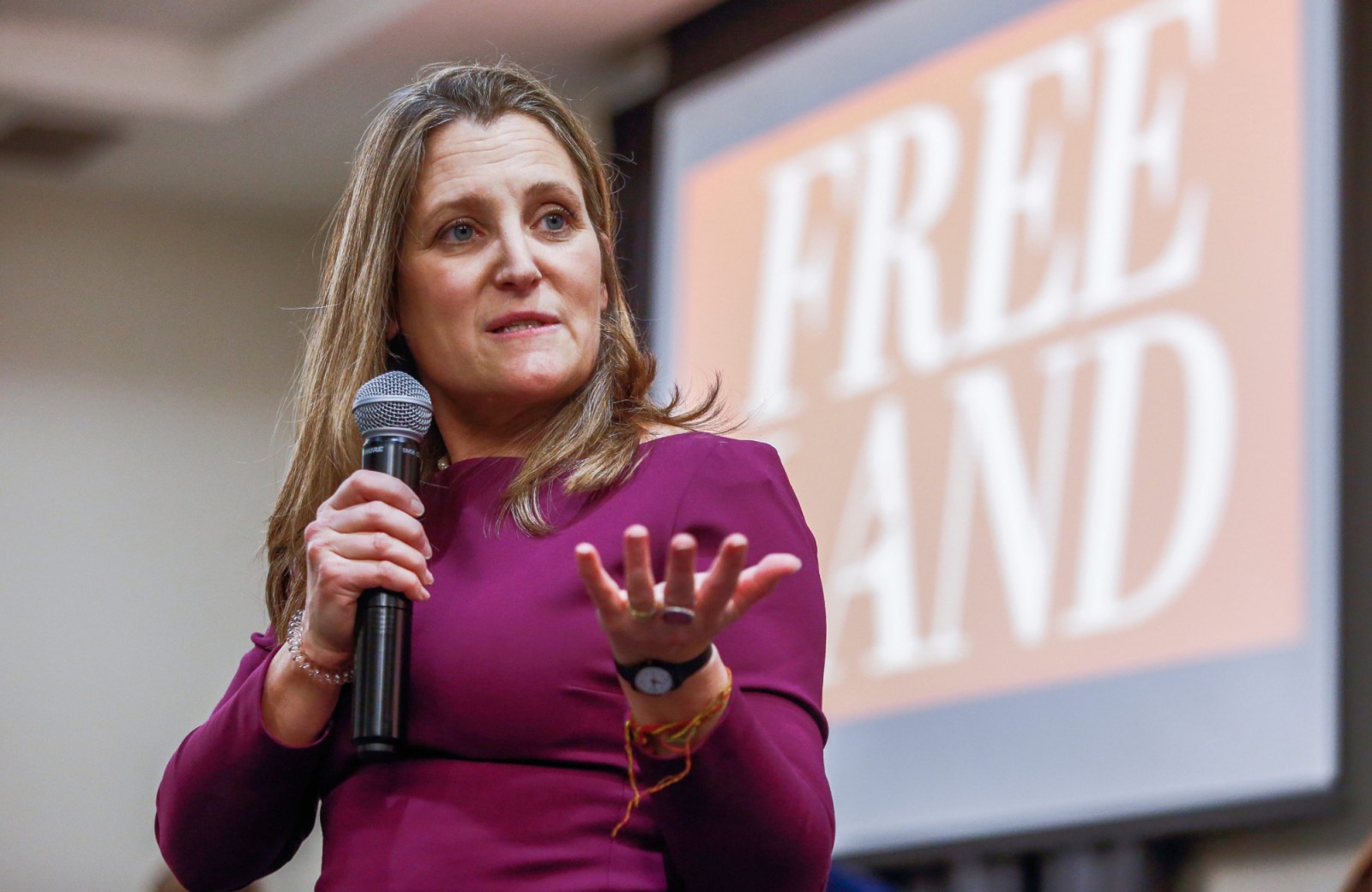 Chrystia Freeland says Canada should target Elon Musk’s Tesla in a ...