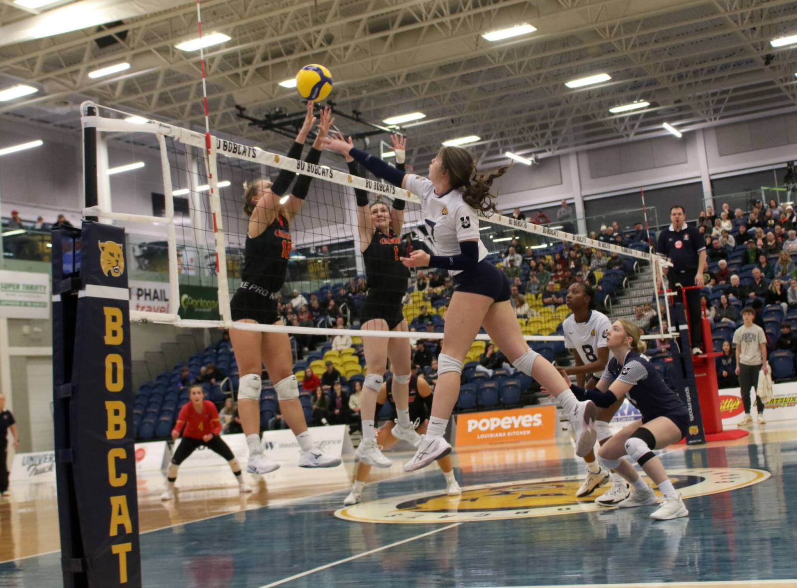 Calgary overpowers Brandon in 3-0 sweep – Brandon Sun