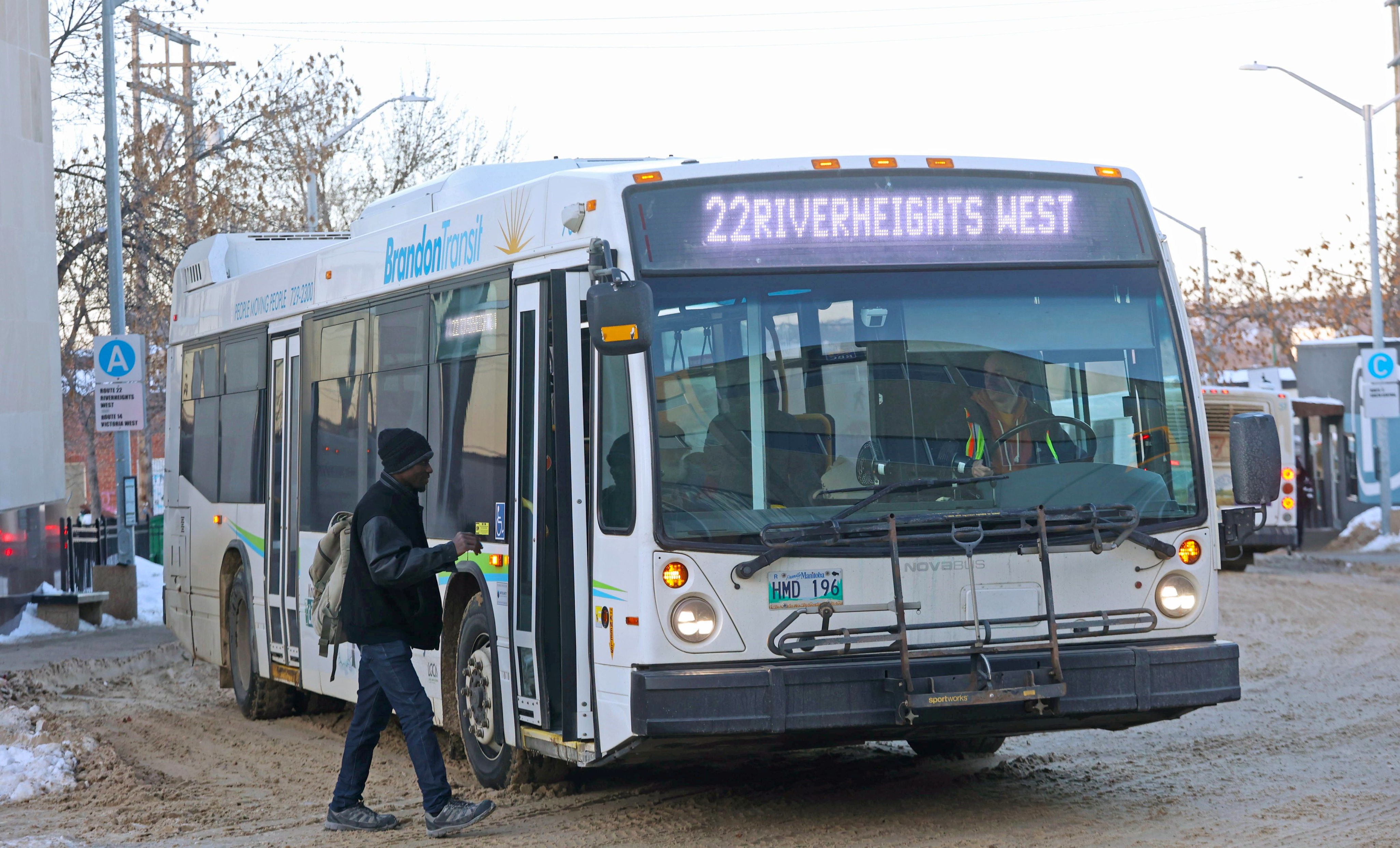 Tariffs may stall transit overhaul – Brandon Sun