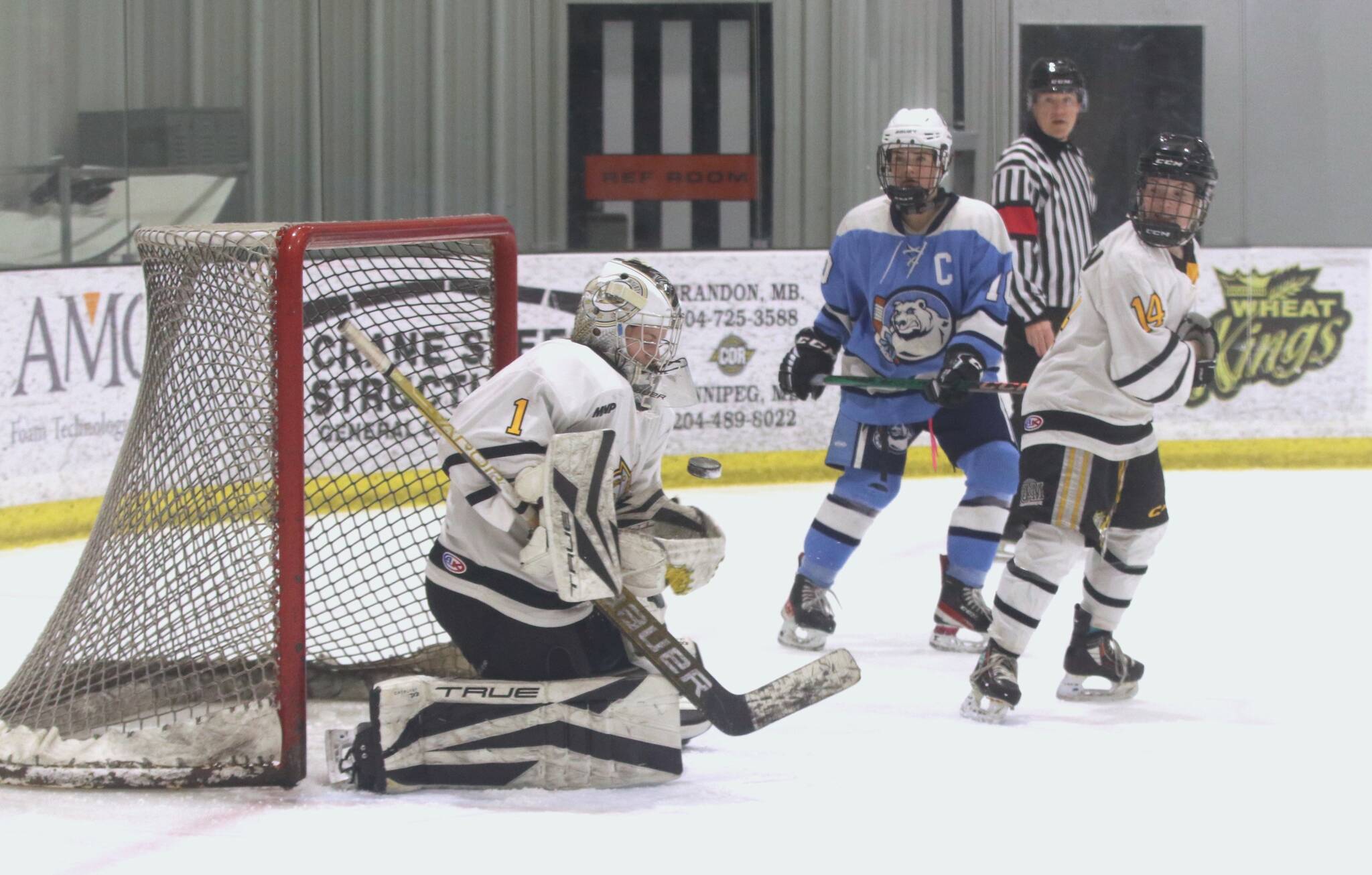 U18 AAA WEEKLY ROUNDUP: Wheat Kings fall into second as Wild surge ...