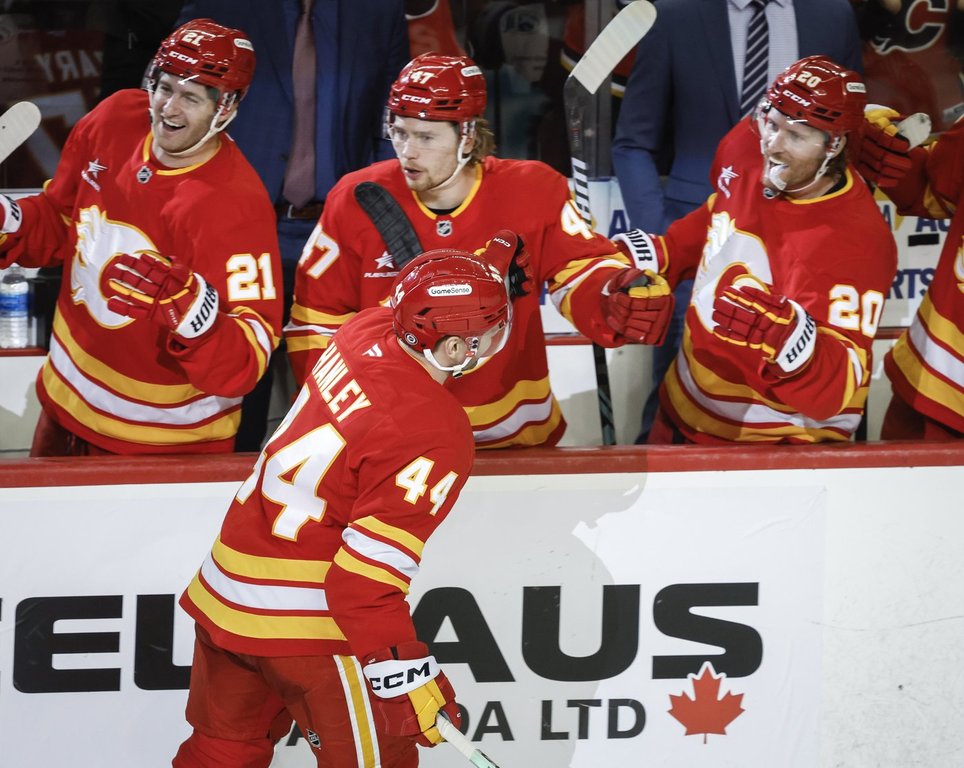 Persistent Hanley comes up big for Flames in 3-2 win over Sharks ...