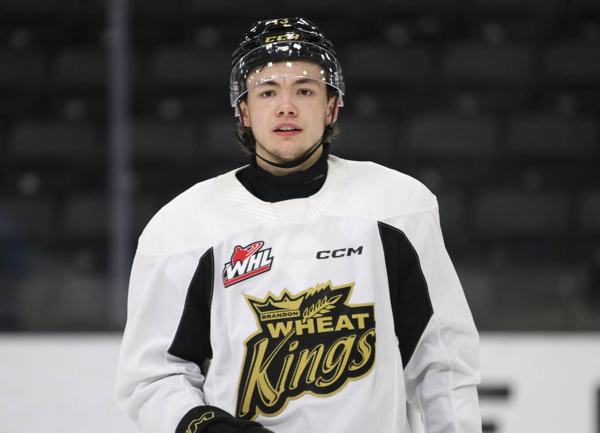 McQueen finding his way back – Brandon Sun