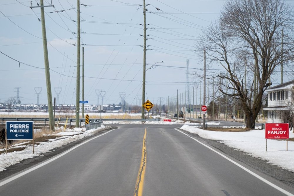 Local candidates looking to defeat federal party leaders in ...