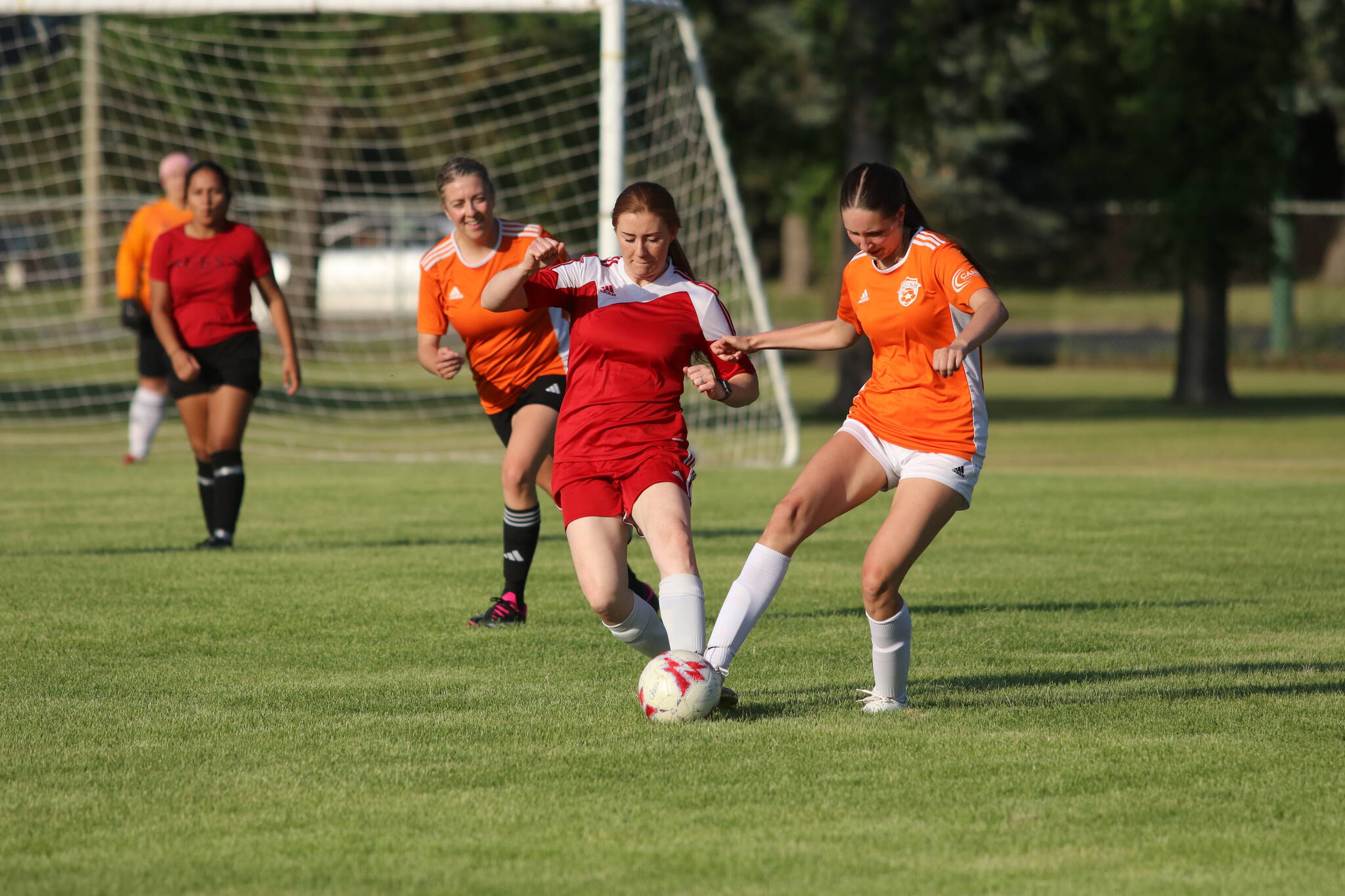 Soccer in full swing – Brandon Sun
