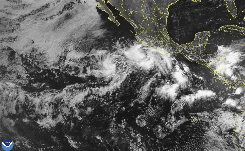 Tropical Storm Barbara becomes a hurricane – Brandon Sun