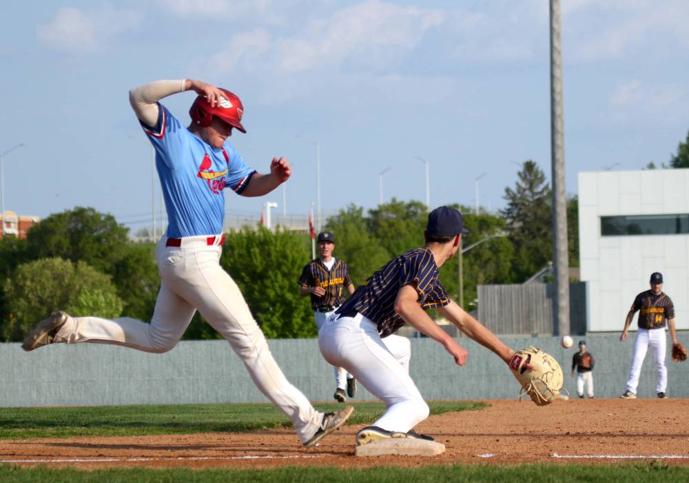 Young Guns, Cards enter playoffs hot – Brandon Sun