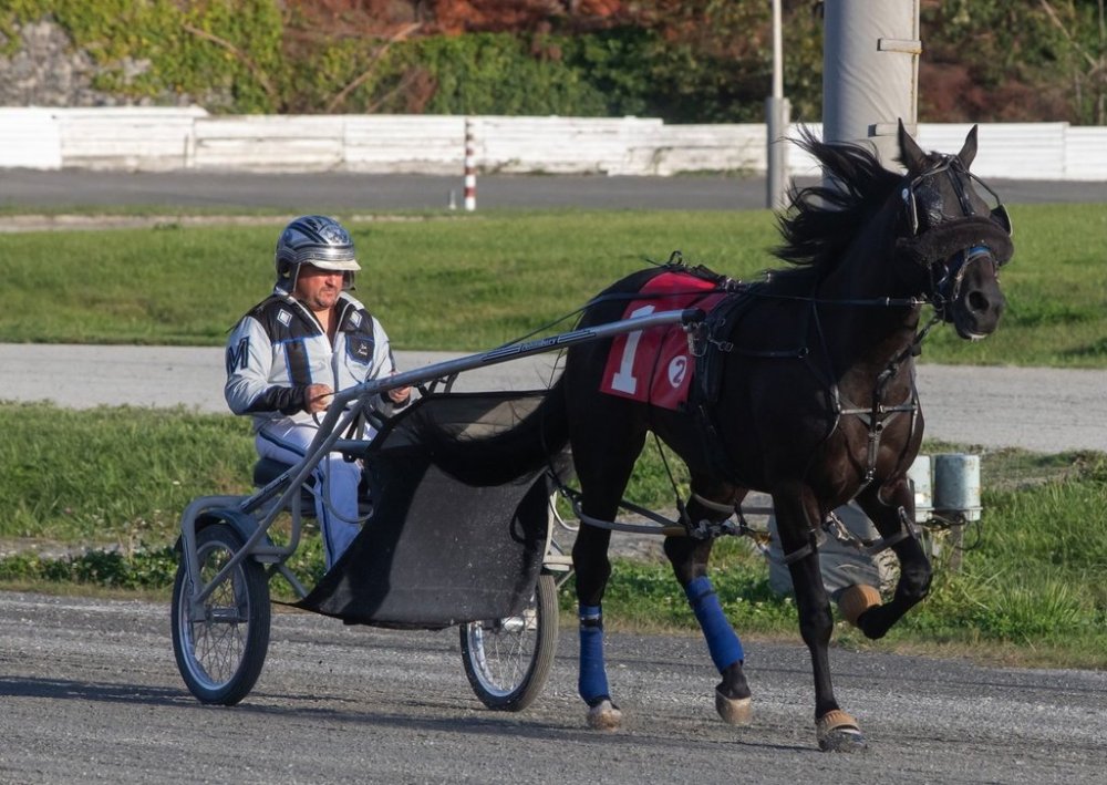 ‘Part of me is gone’: Abrupt end for Fraser Downs track a blow to B.C ...