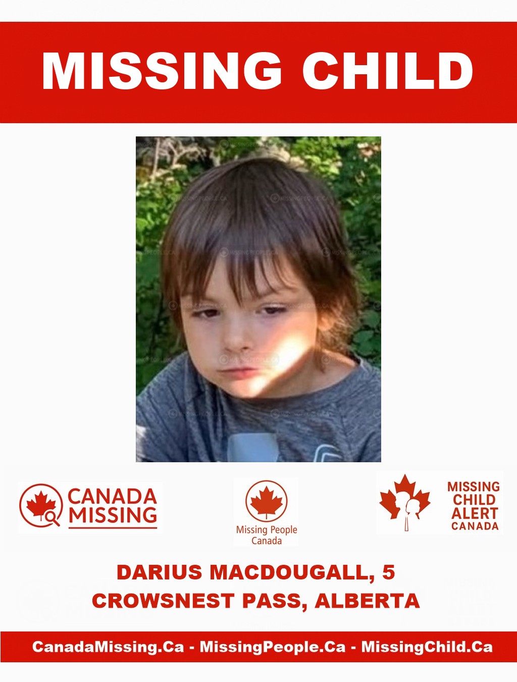 Searchers look for missing boy, 5, last seen walking near Alberta ...