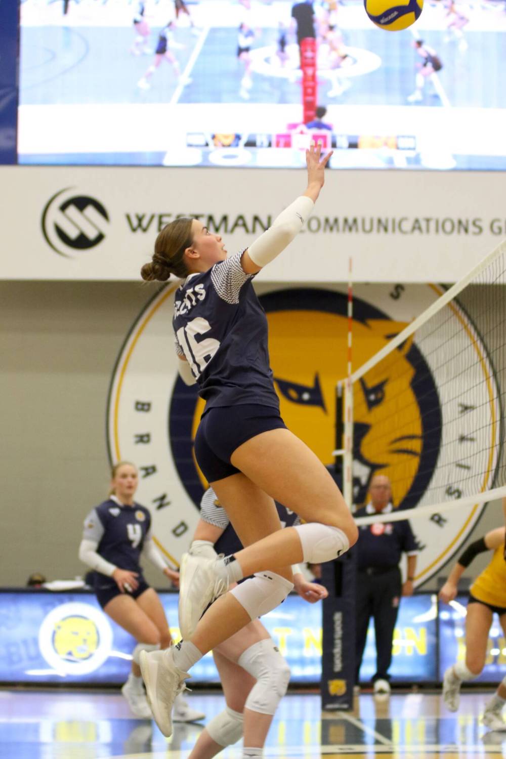 Miller finds form as Bobcats take Bisons to four – Brandon Sun