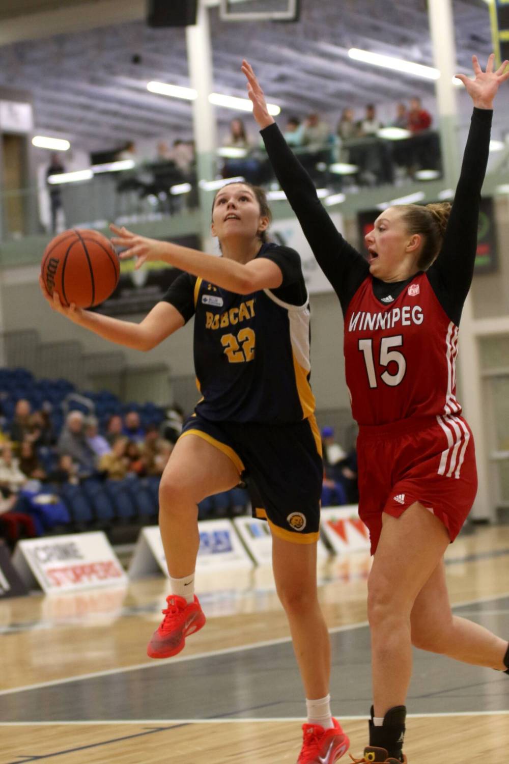 Copeland powers Bobcats to weekend sweep – Brandon Sun