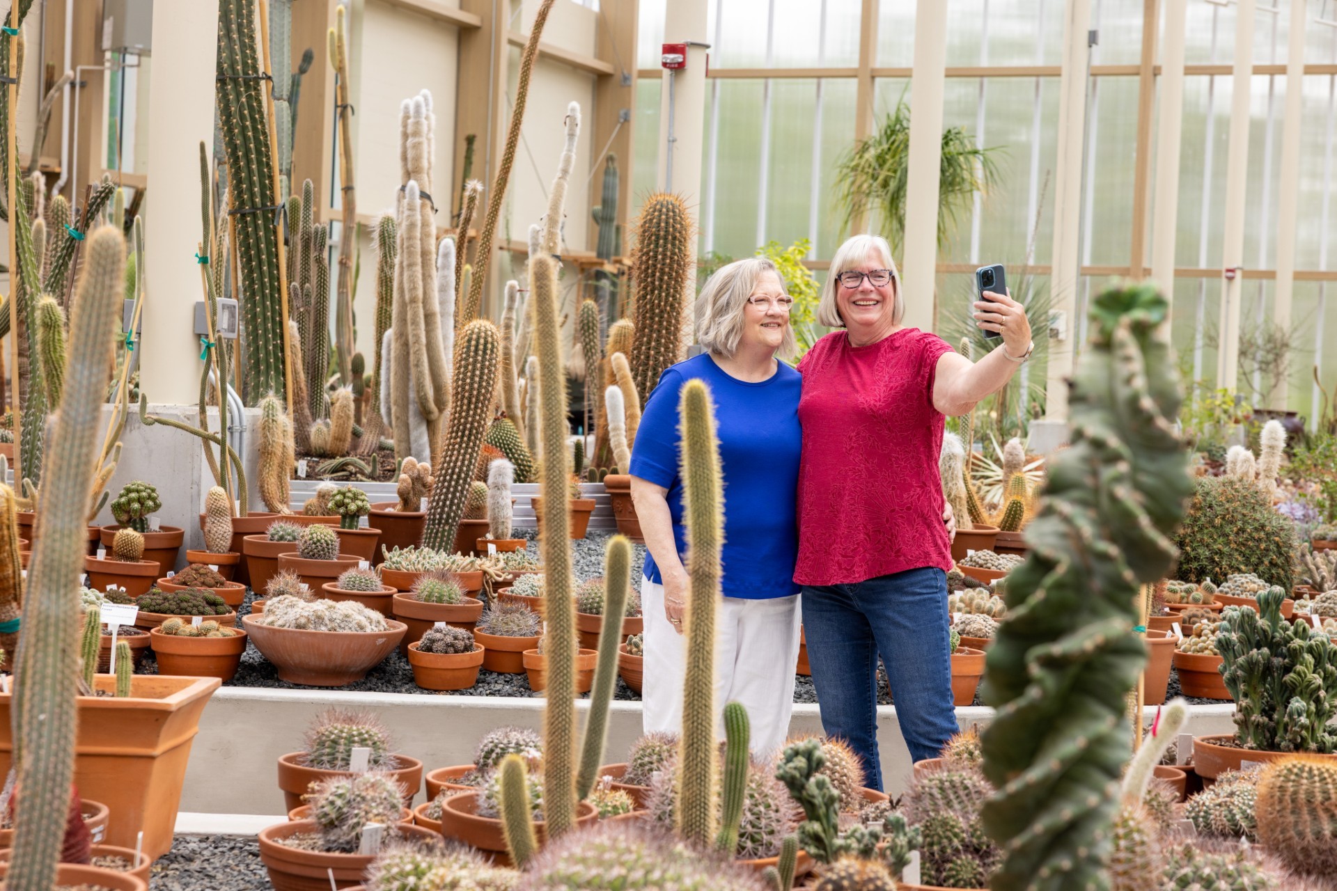 International Peace Garden launches free senior Wednesdays – Brandon Sun