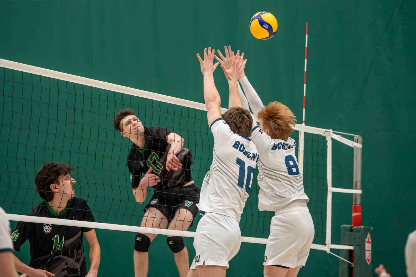 Huskies stomp Bobcats in series opener – Brandon Sun