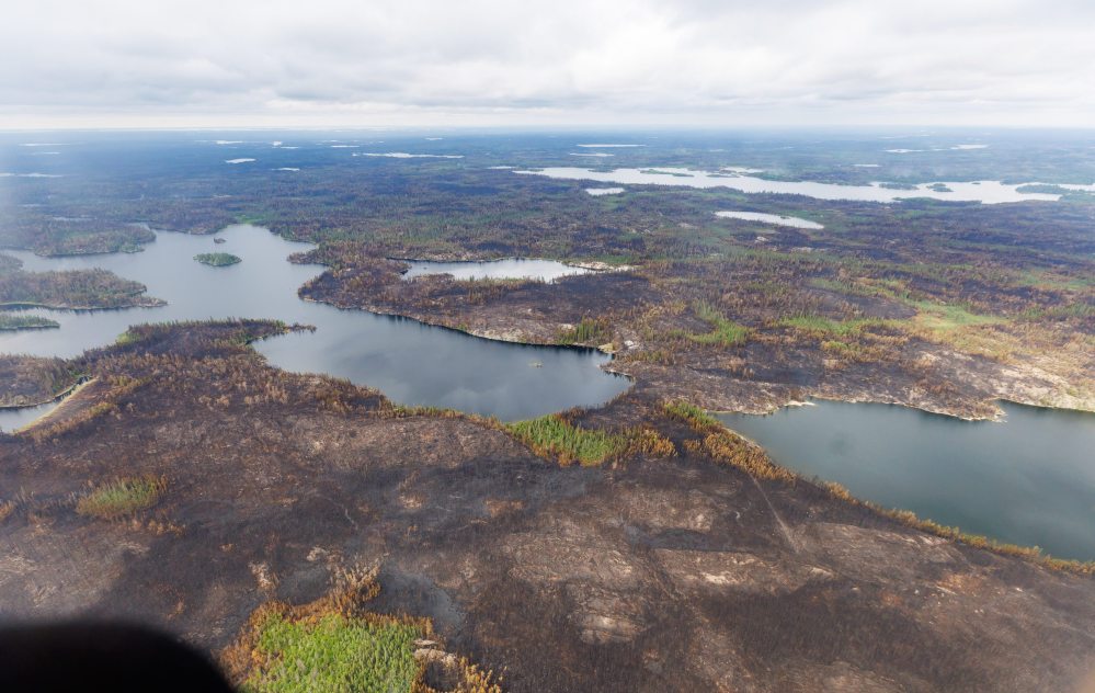 Wildfire forecast anticipates high risk for new wildfires in B.C ...