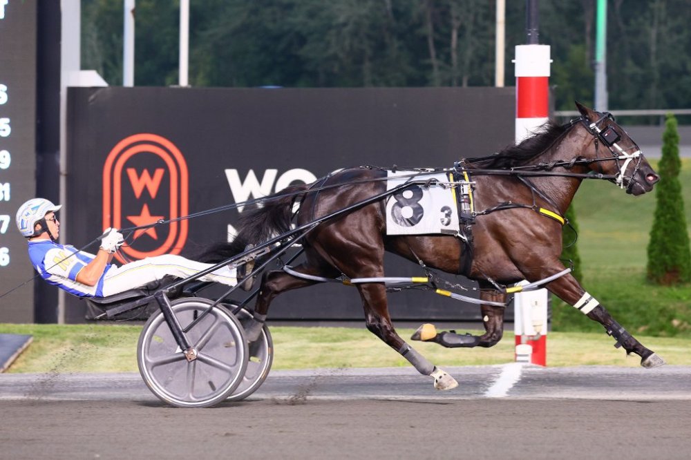 MacDonald drives Odds on Mr Mamba to win in $1-million North America ...
