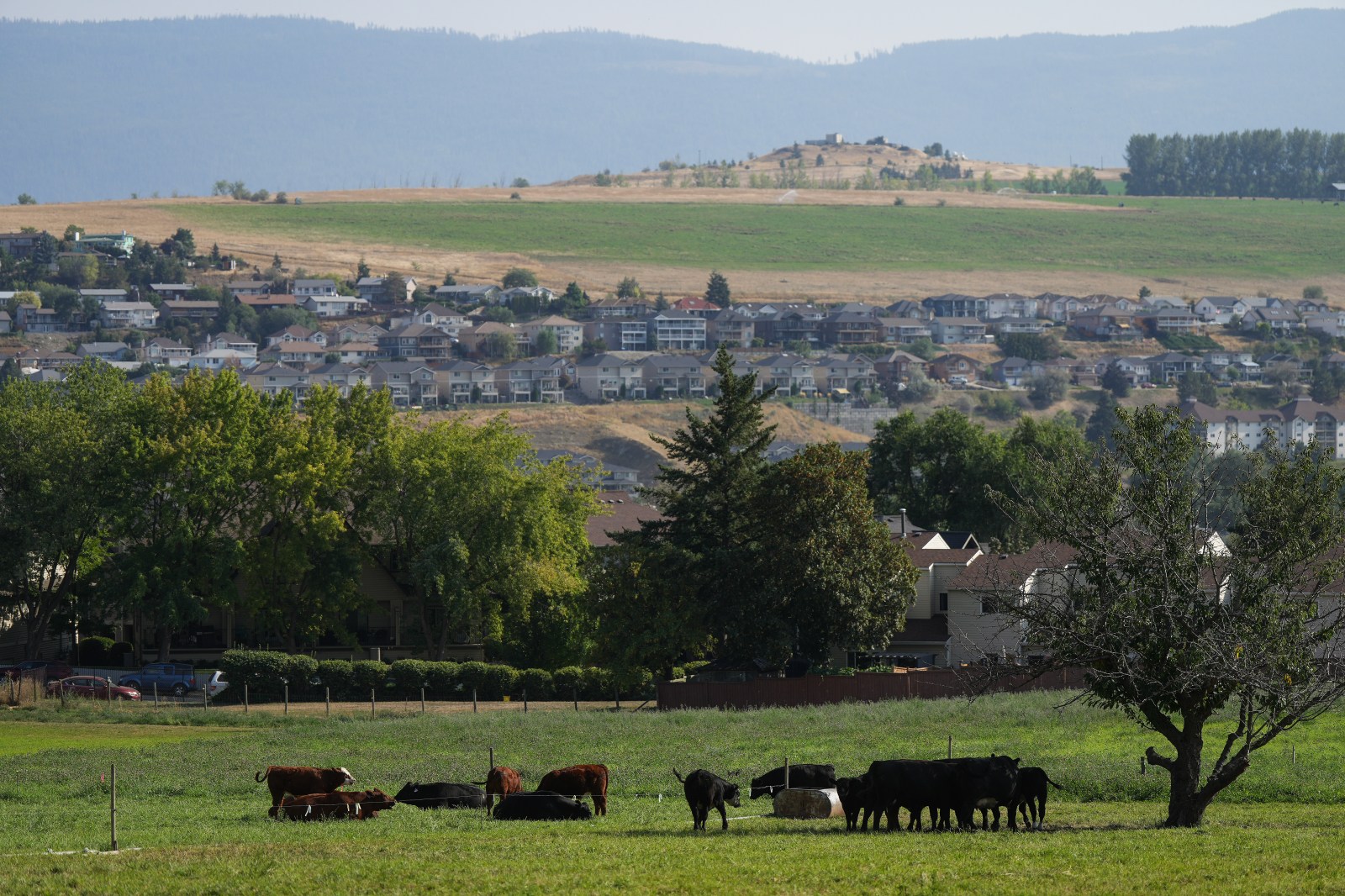 Communities report high demand for pilot offering permanent residency ...
