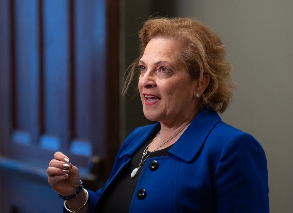 Lawyer rejects minister’s claims about rules on citizenship-by-descent ...